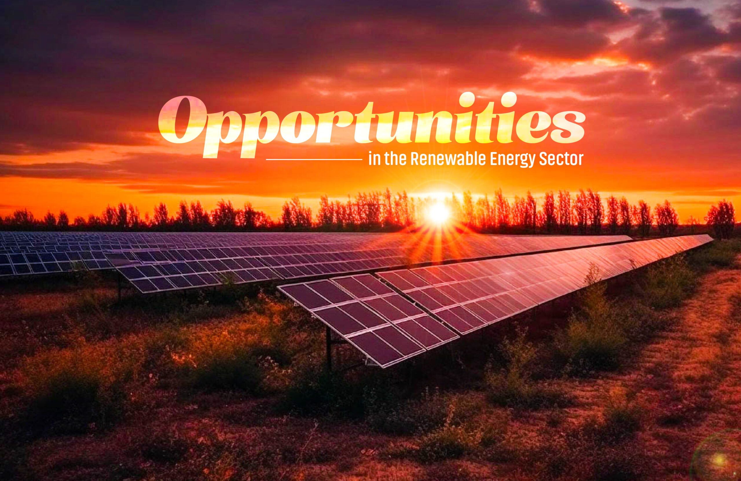 Opportunities in the Renewable Energy Sector - Our Business Ladder