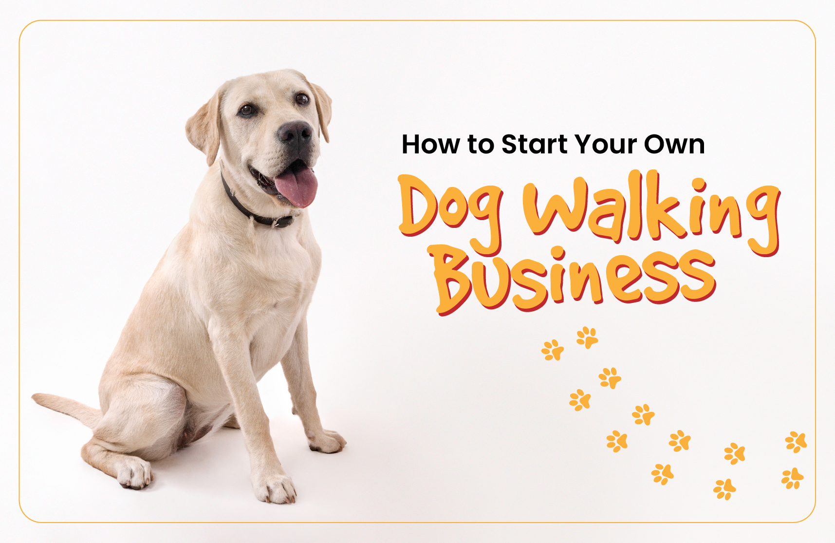 How to Start Your Own Dog Walking Business? - Our Business Ladder